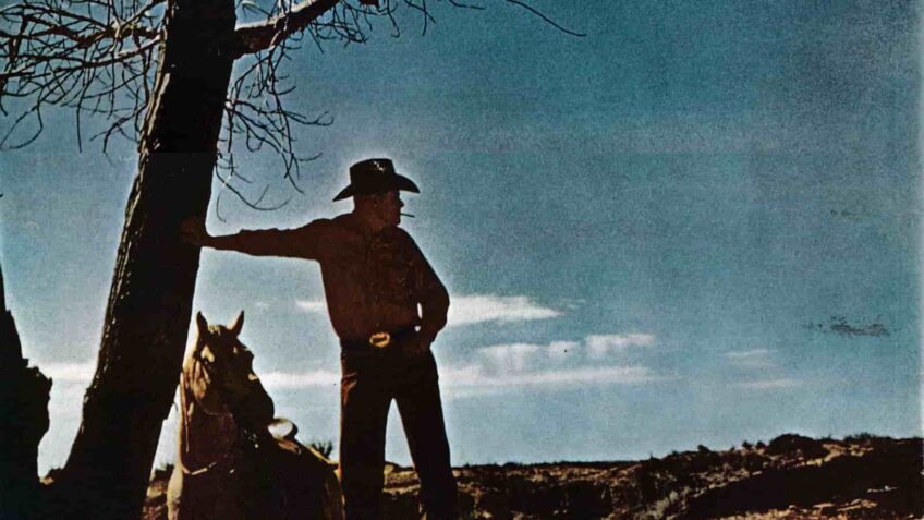 Anchorage in Media Texts | Definition and Examples